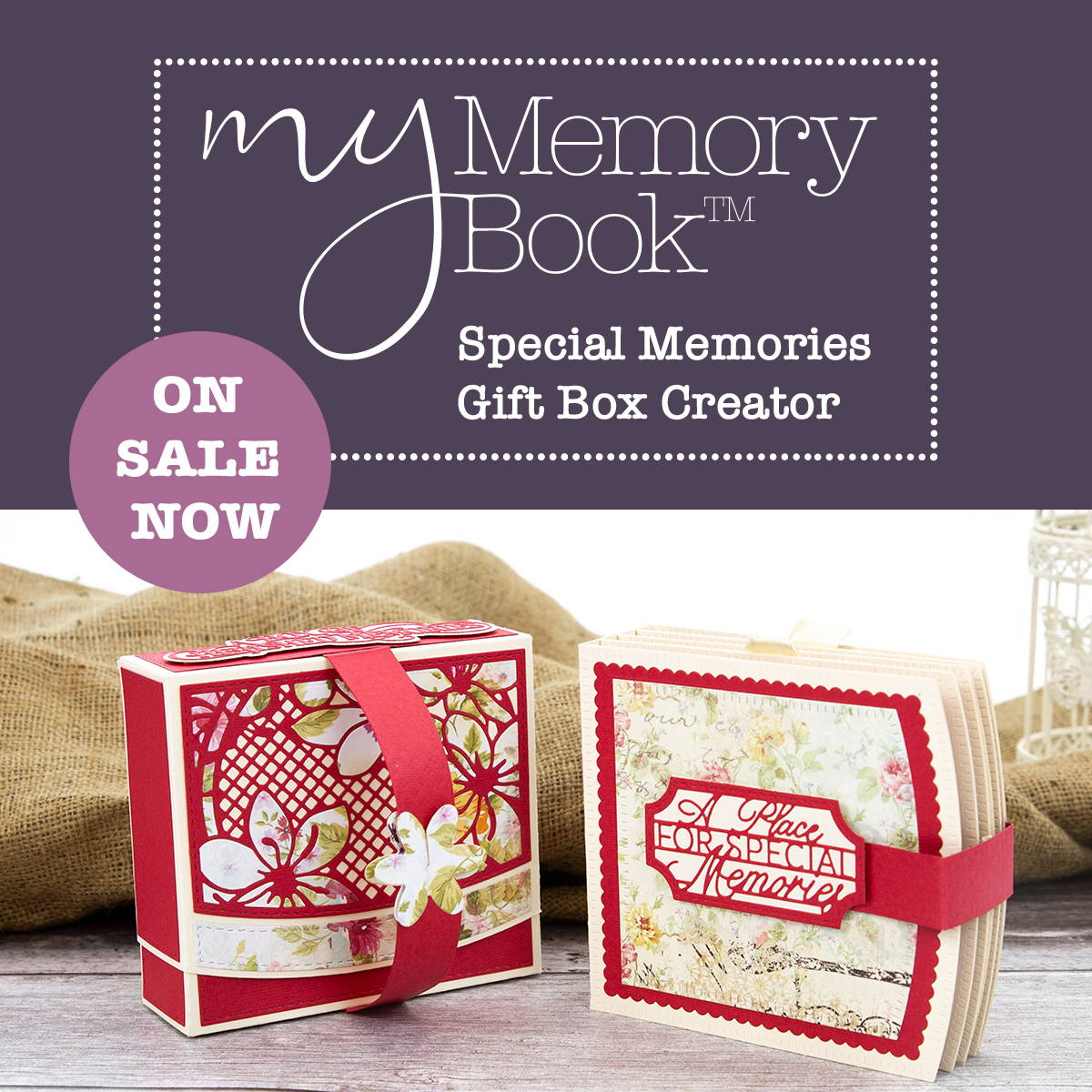 My Memory Book - Special Memories Collection – Tonic Studios USA