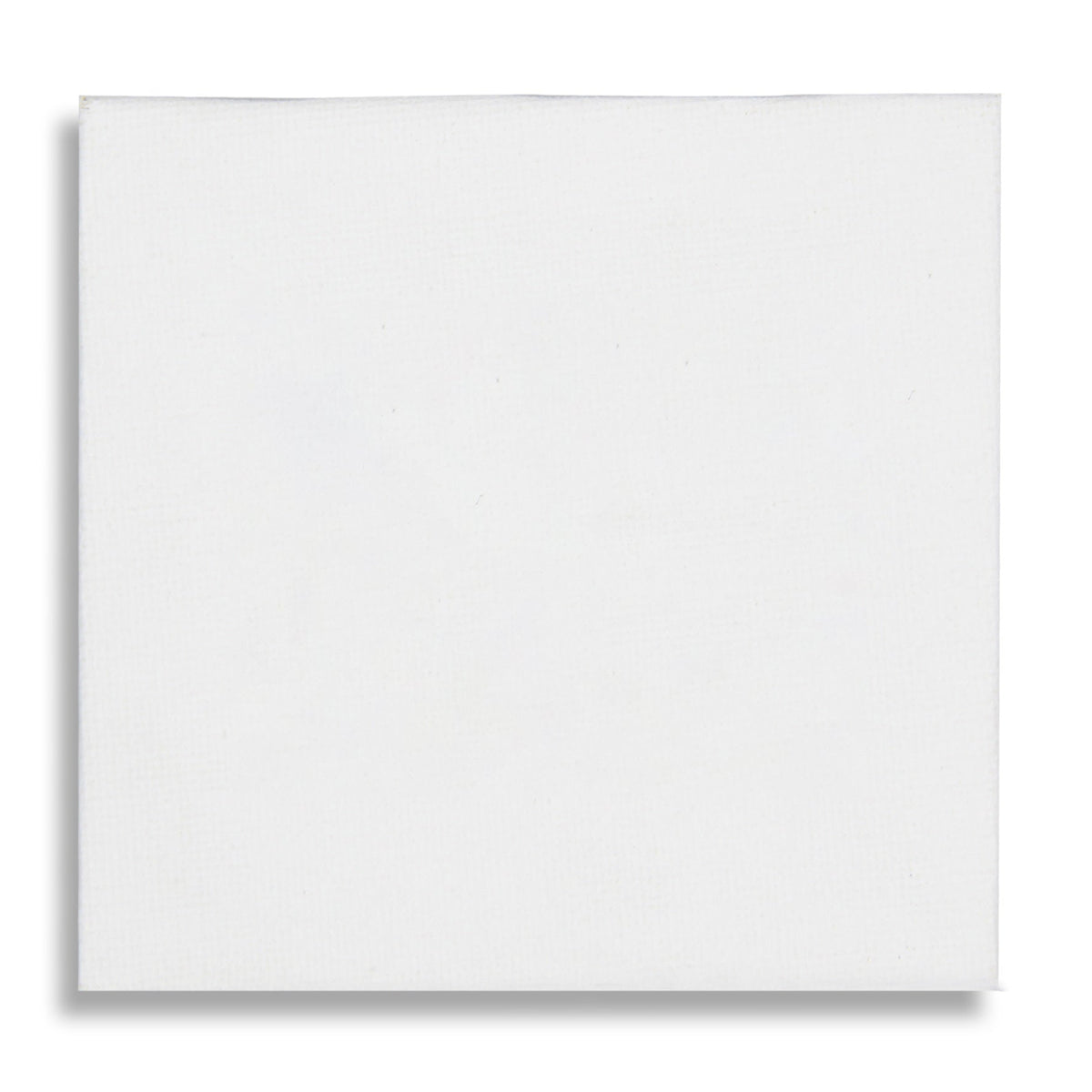 Little Birdie Mini Canvas Art Panels – Tonic Studios USA