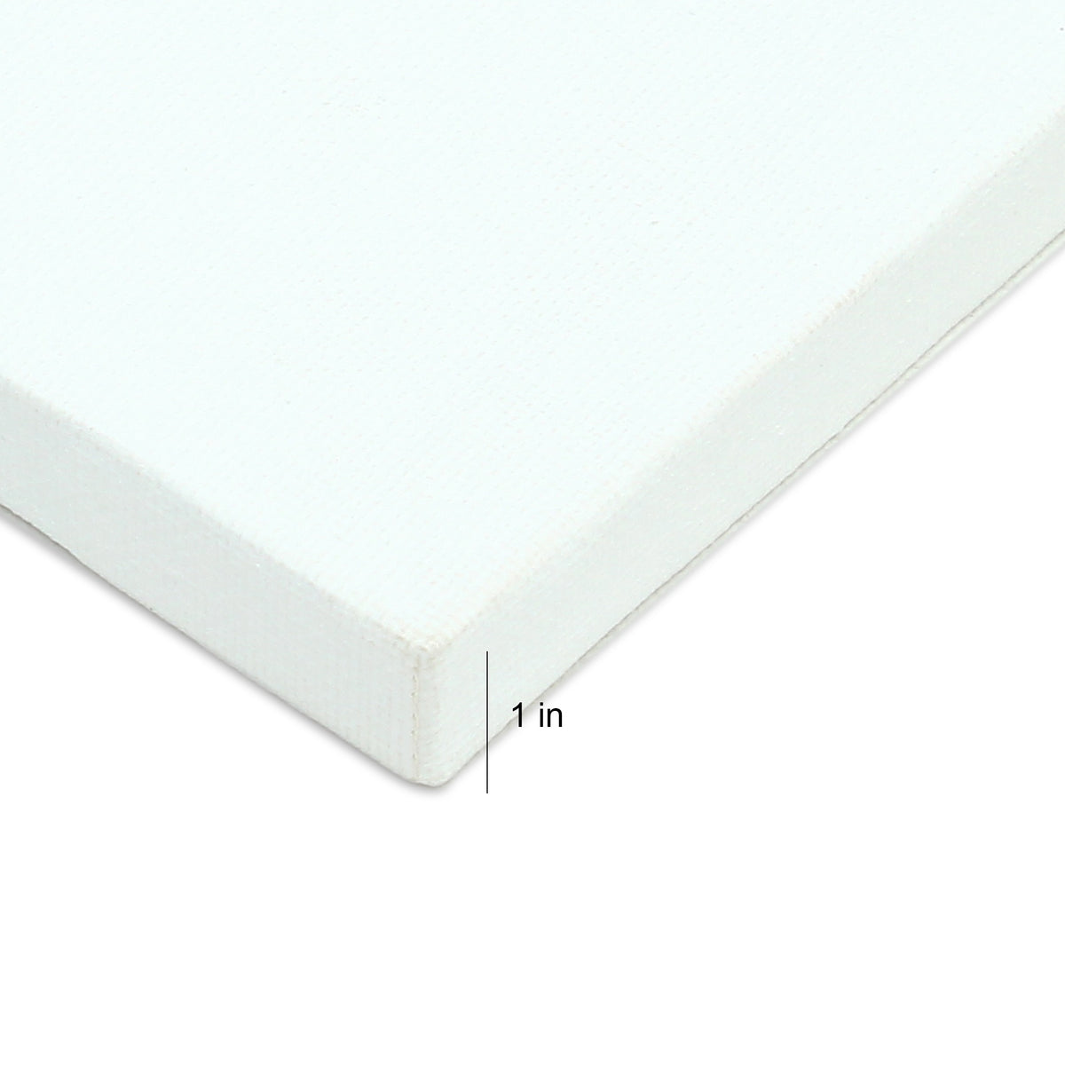 Premium 6"x8" Stretched Cotton Canvas from Little Birdie – Tonic Studios USA