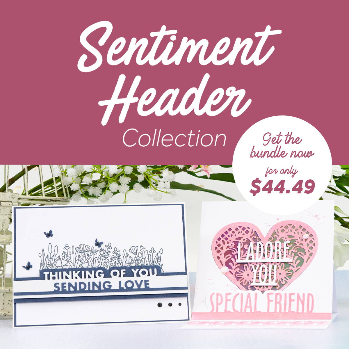 Sentiment Header Collection Tonic Studios Usa